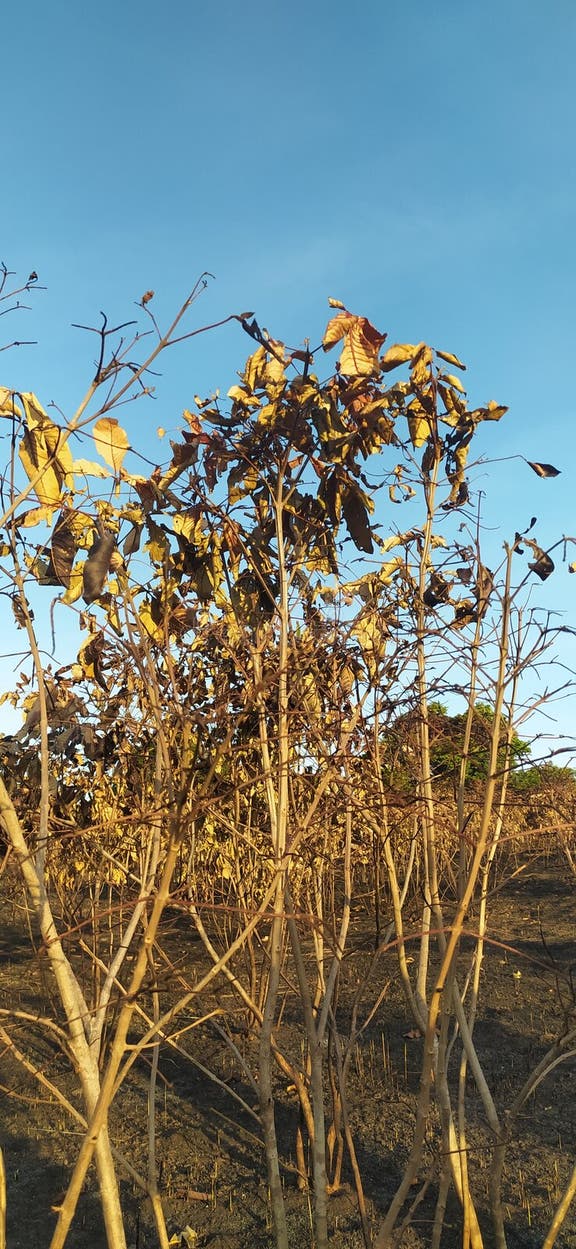 Keep save our Environment stock image. Image of enviro - 230676139