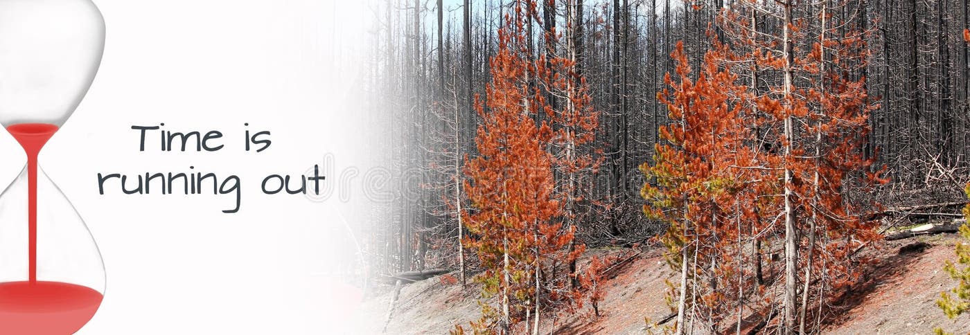 Timer Runs Out Stock Photos - Free & Royalty-Free Stock Photos from ...