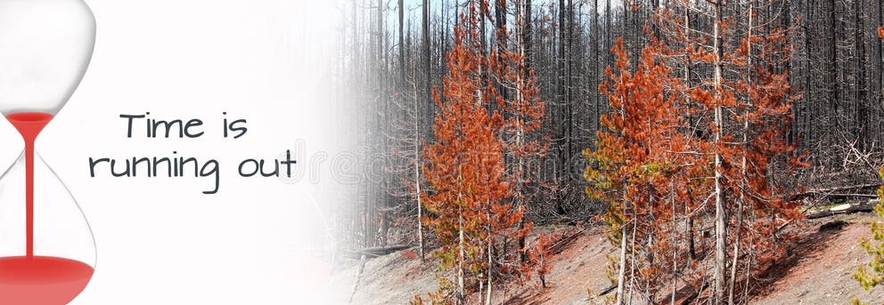 Keep it Simple Symbol and Simplicity Concept: Egg Timer with Text: Time ...