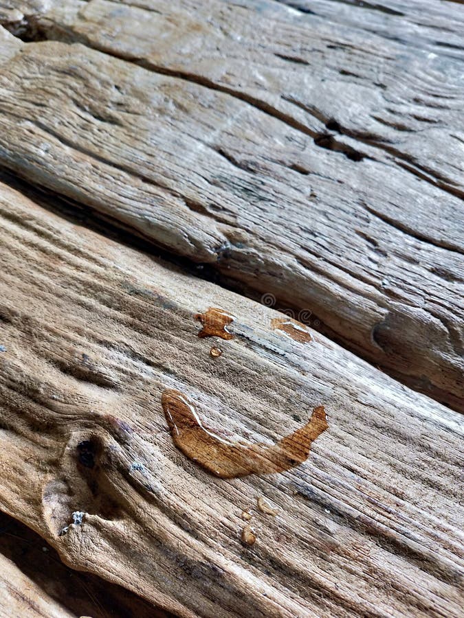 Keep Smile with Your Problem Stock Photo - Image of water, ornament ...