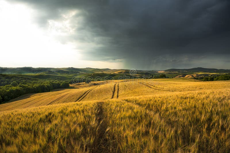 Keep up the storm stock photo. Image of farm, wheat, road - 95609940