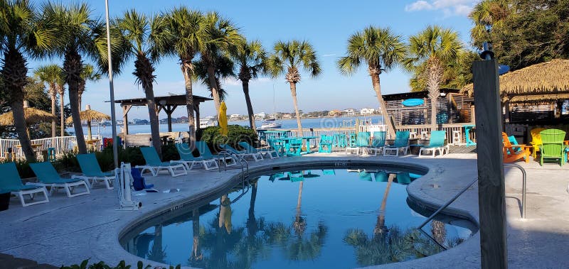 Keeping it Cool by the Pool Stock Image - Image of florida, cool: 242669689