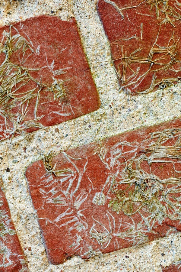 Keeping Things in, and Keeping Things Out. a Facebrick Wall. Stock ...