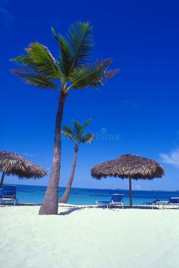 Keerkringen 02 Van De Bahamas Stock Foto - Image of lagune, strand: 1446658
