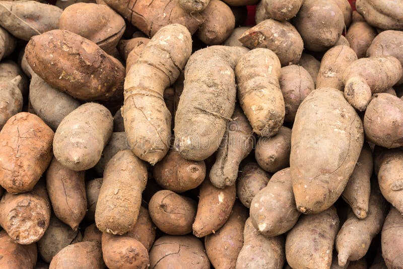 Kefir is Dug from the Ground Stock Photo - Image of grains, ground ...