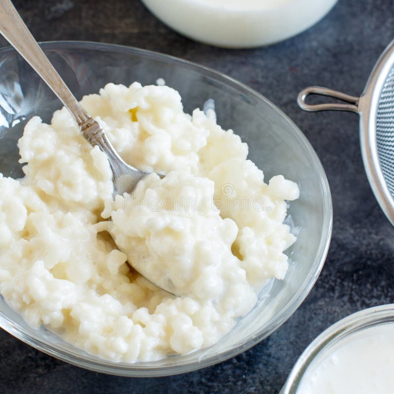 Kefir Grains and Fermented Drink Kefir Stock Image - Image of dairy ...