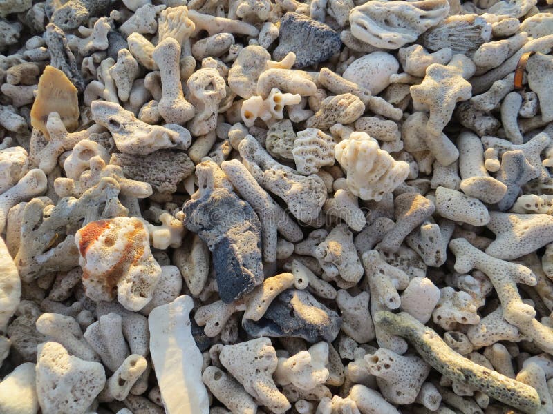 Kelan Beach in Bali stock photo. Image of abstract, gravel - 204629576