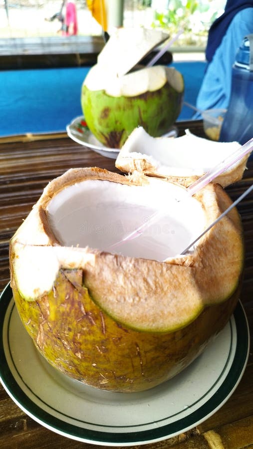 Kelapa Muda stock image. Image of dairy, plant, kelapa - 262062855