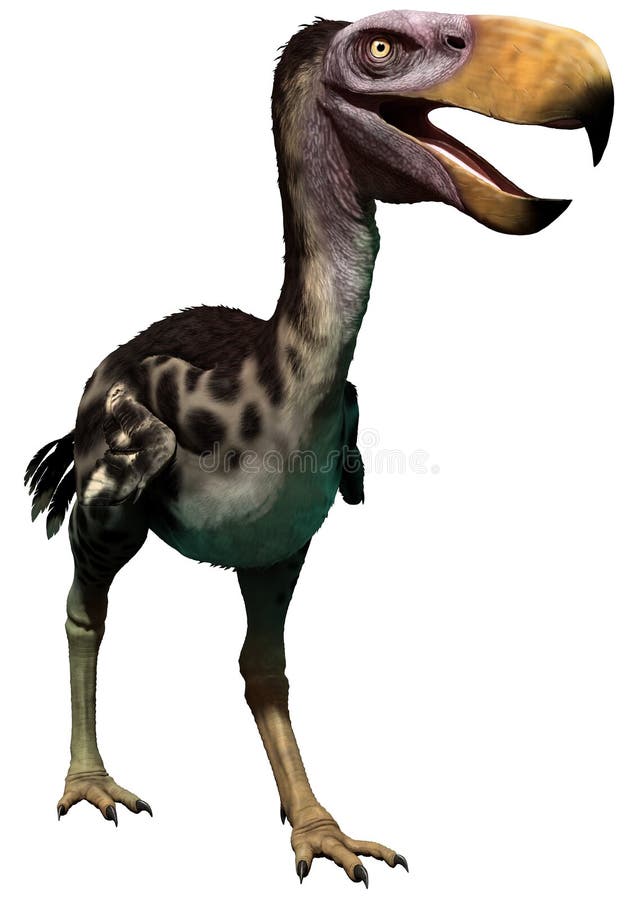 Kelenken Bird on White stock illustration. Illustration of reptile ...