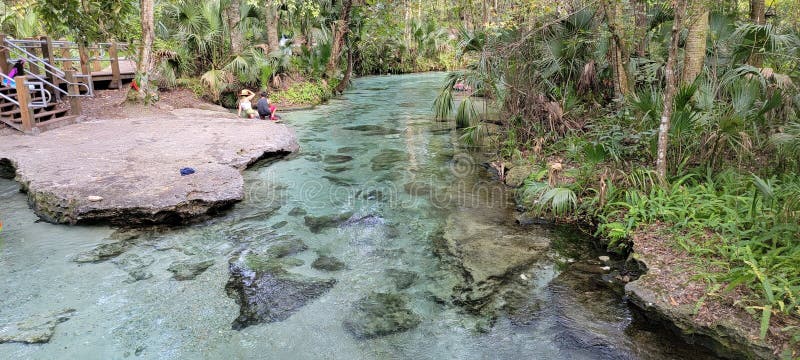 Kelly Rock Spring Orlando Florida Editorial Stock Photo - Image of ...