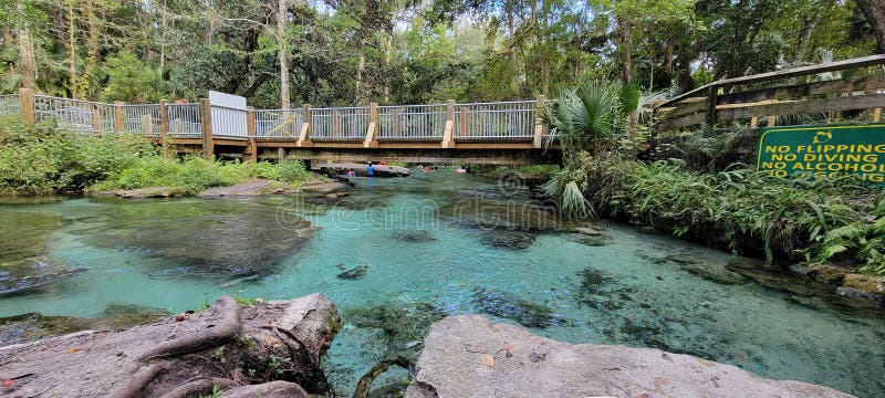 Kelly Rock Spring Orlando Florida Editorial Stock Image - Image of ...