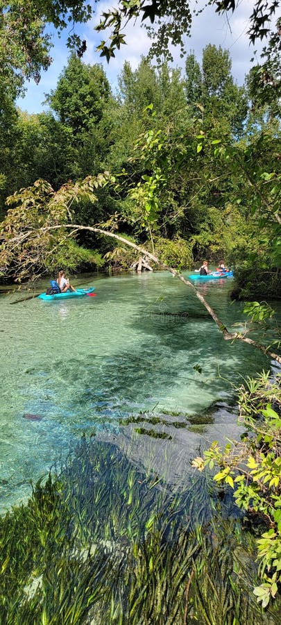 Kelly Rock Spring Orlando Florida Foto de archivo - Imagen de arbolado ...