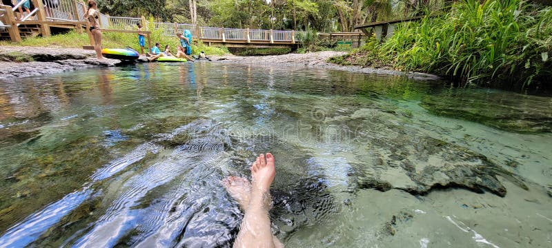 Kelly Rock Spring Orlando Florida Fotografía editorial - Imagen de ...