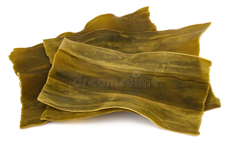 Kelp konbu stock photo. Image of edible, kombu, japanese - 348316036