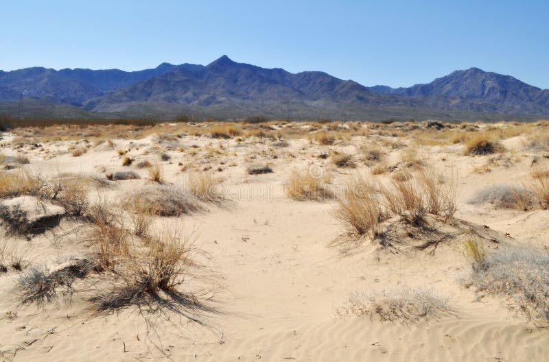 Kelso sand dunes stock image. Image of kelso, mojave - 29542891