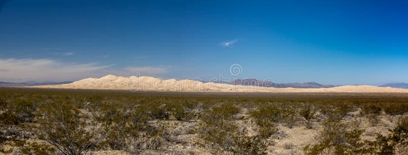 Kelso Sand Dunes stock image. Image of mojave, bush - 275464301