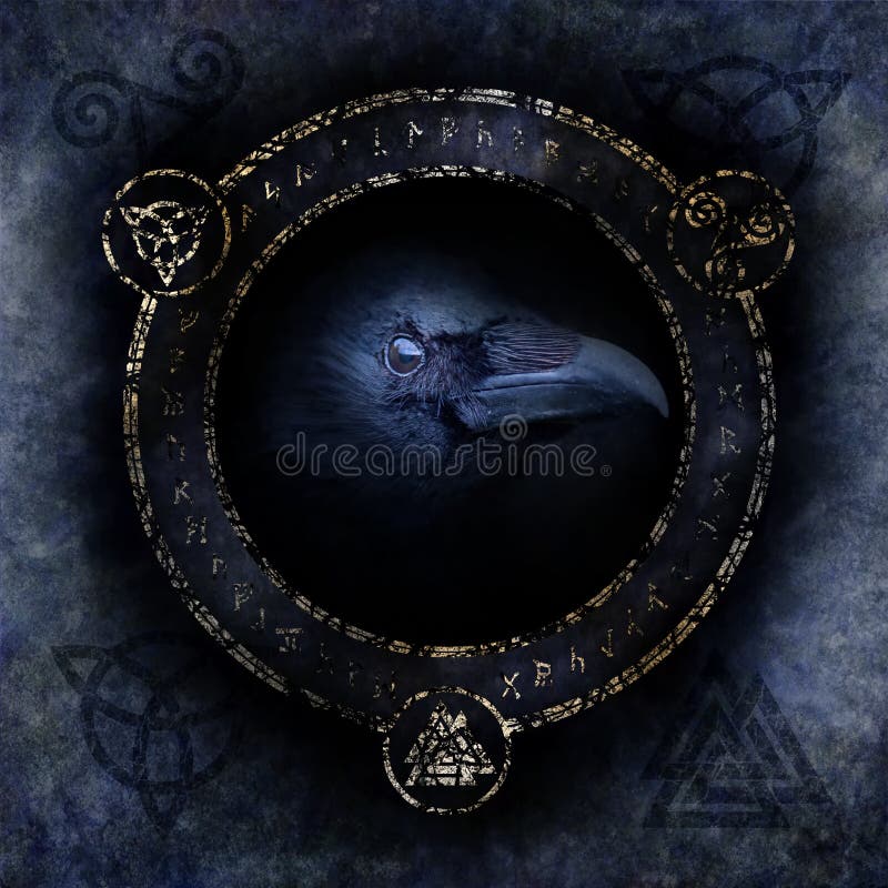 Keltiska Raven Spell fotografering för bildbyråer. Bild av mörkt - 85488863