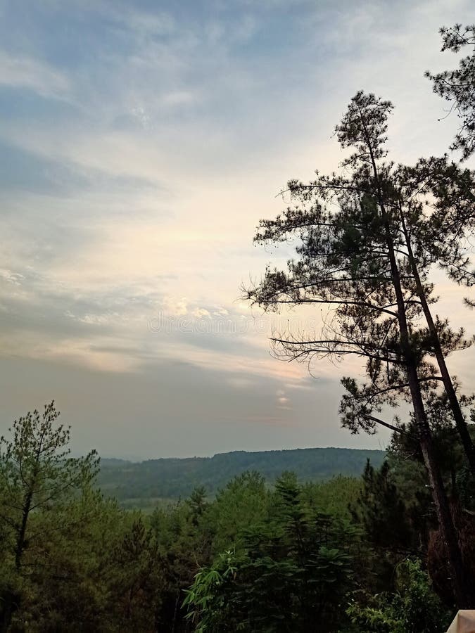 Kemit Forest Stock Photos - Free & Royalty-Free Stock Photos from ...