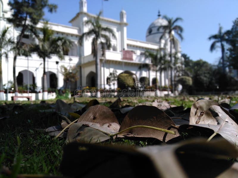 Kemu Stock Photos - Free & Royalty-Free Stock Photos from Dreamstime