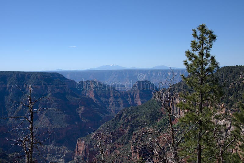 Ken Patrick Trail E stock photo. Image of trail, beauty - 94278932