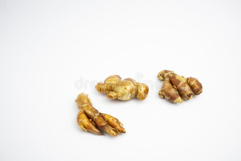 Kencur is a Typical Indonesian Spice. in Groups. Typical Indonesian ...