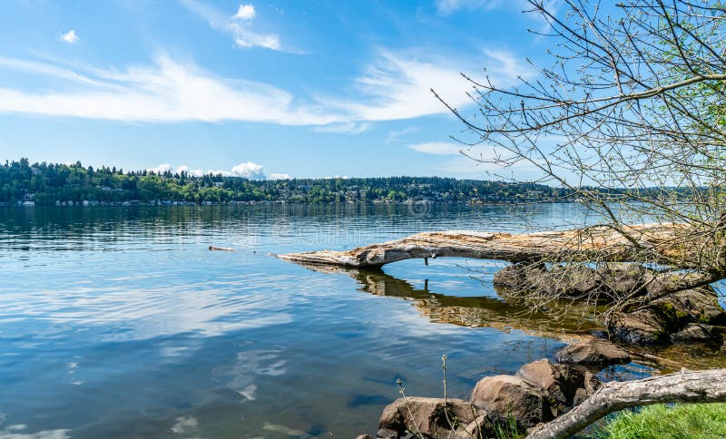 Kenmore Lake and Homes stock photo. Image of architecture - 278318388