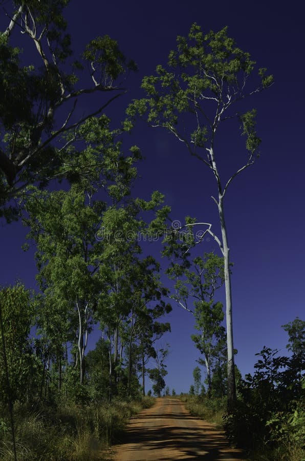 Kennedy Road stock photo. Image of australia, north, kennedy - 61784110