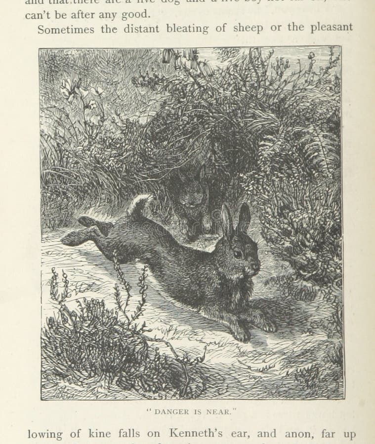 British Library Digitised Image From Page 54 Of "Kenneth McAlpine: A ...
