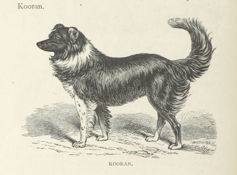 British Library Digitised Image From Page 52 Of "Kenneth McAlpine: A ...