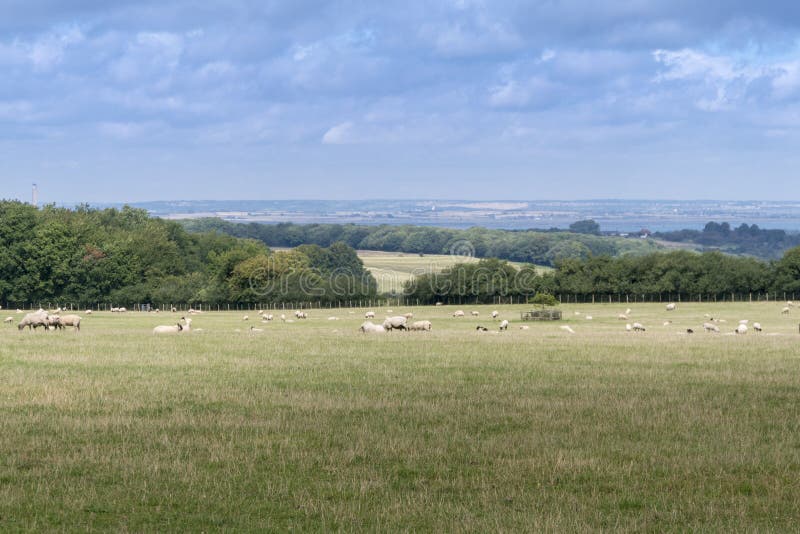Kent Countryside View foto de archivo. Imagen de llanuras - 108625342
