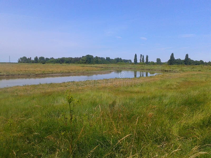 Kent marshes stock image. Image of marshes, northkent - 42798431