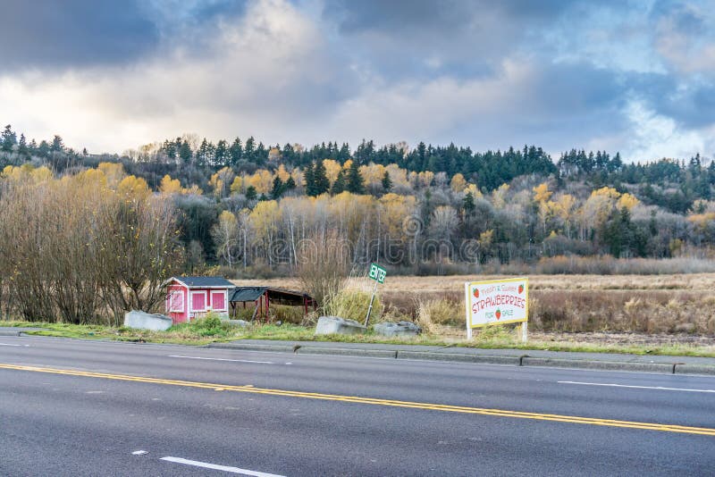 Kent Washington Autumn 3 stock image. Image of state - 263161395