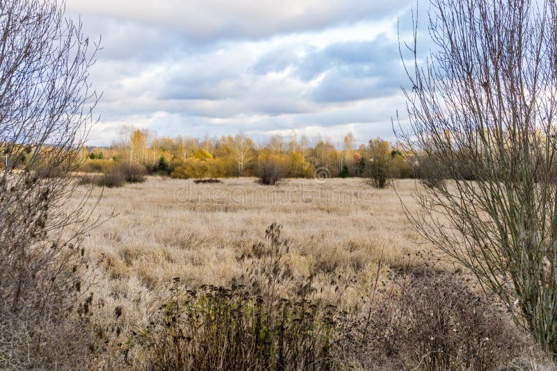 Kent Washington Fall 4 stock photo. Image of countryside - 264417630