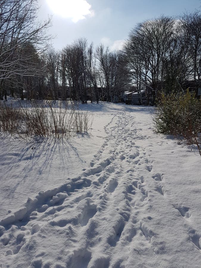 A Kentish Winter stock image. Image of winter, kentish - 130209773