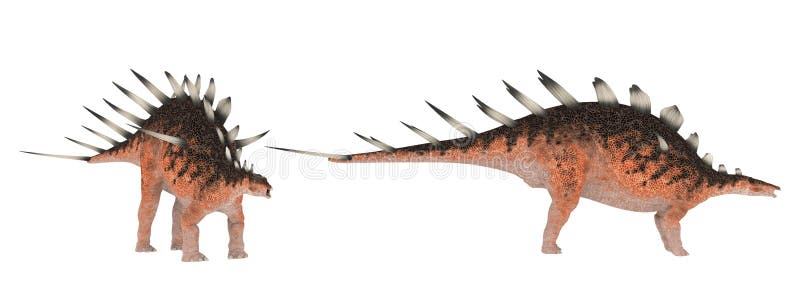 Kentrosaurus. Dinosaur Isolate on White Stock Illustration ...