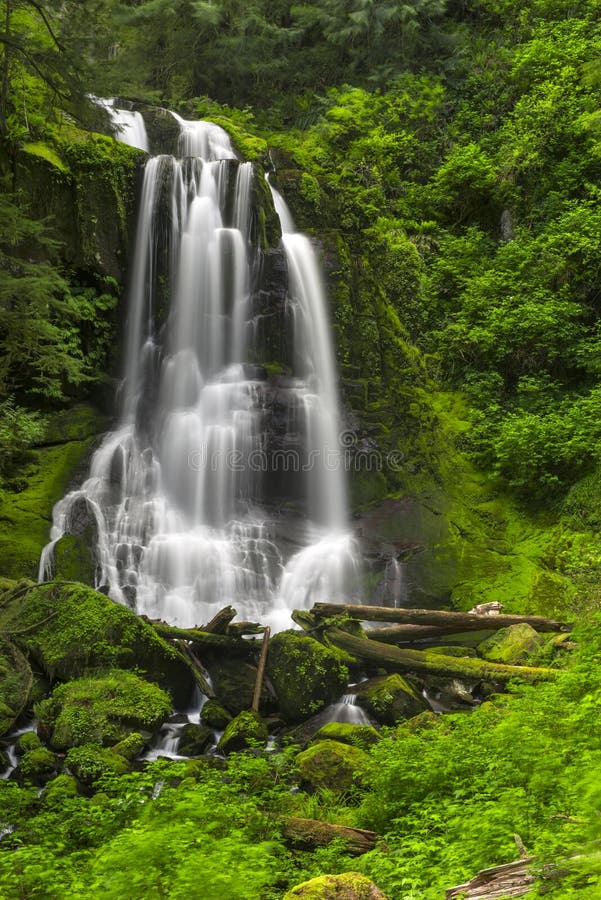 Kentucky Falls Waterfall stock photo. Image of green - 47872132