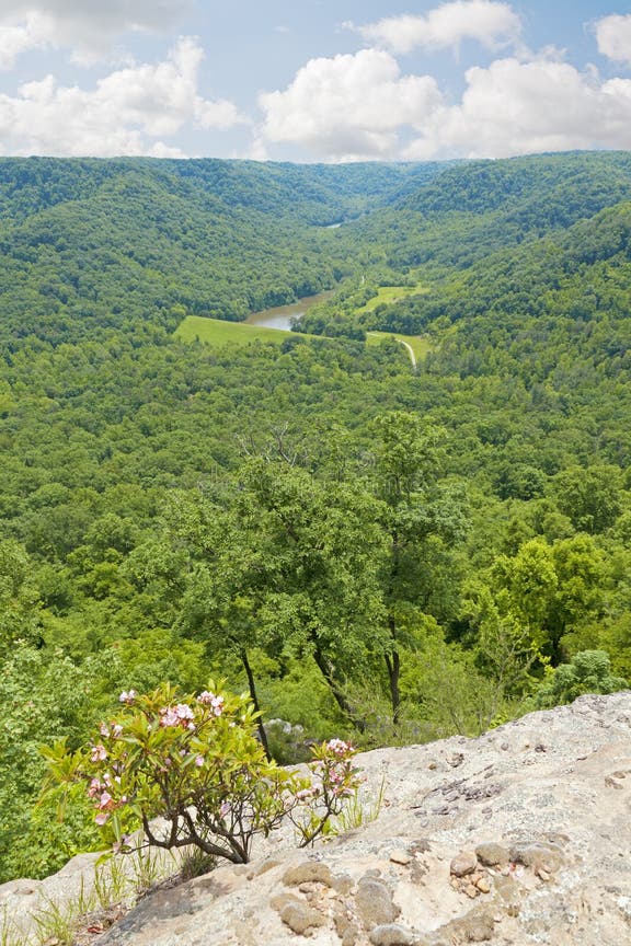 Kentucky stock photo. Image of plants, hills, kentucky - 30384990