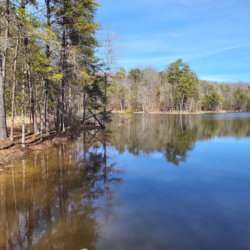 Kentucky private lake stock photo. Image of rock, tree - 269160990