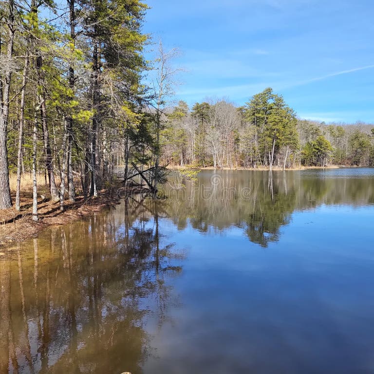 Kentucky private lake stock photo. Image of rock, tree - 269160990