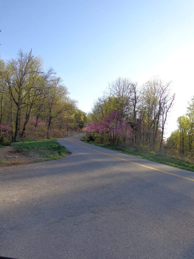 Kentucky stock image. Image of beautiful, trees, blooms - 110007159