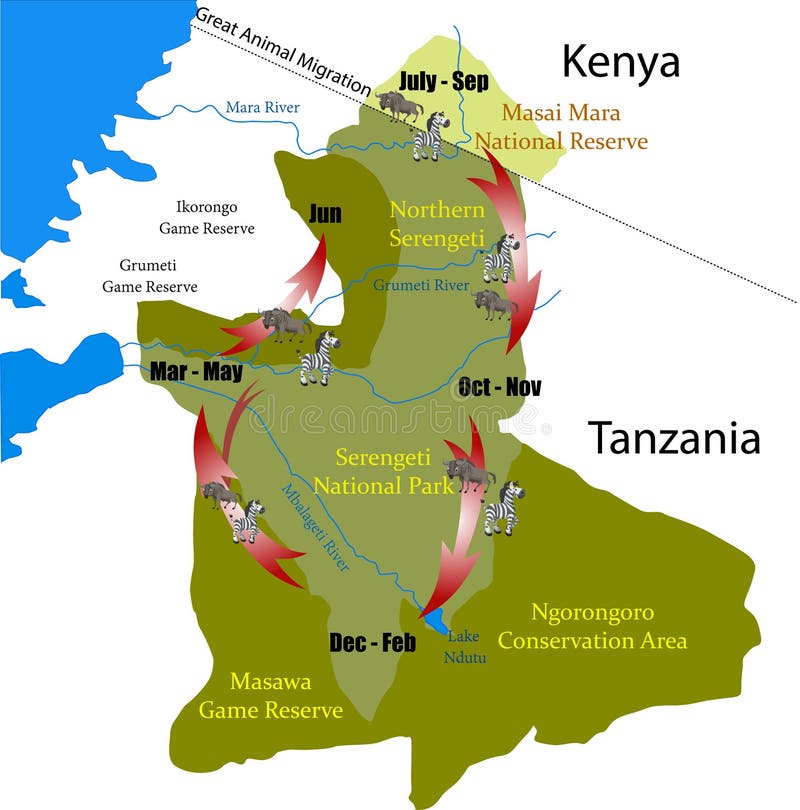 Migration stock vector. Illustration of natural, wildlife - 12452613