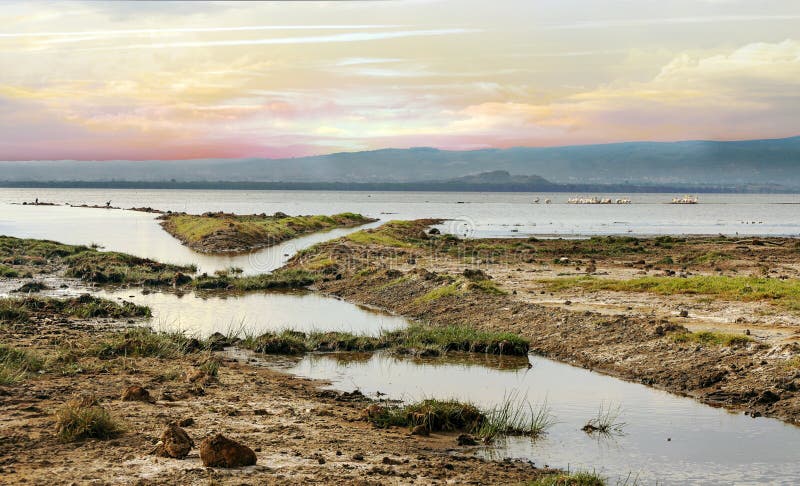 African lake stock image. Image of flamingo, african - 209074055