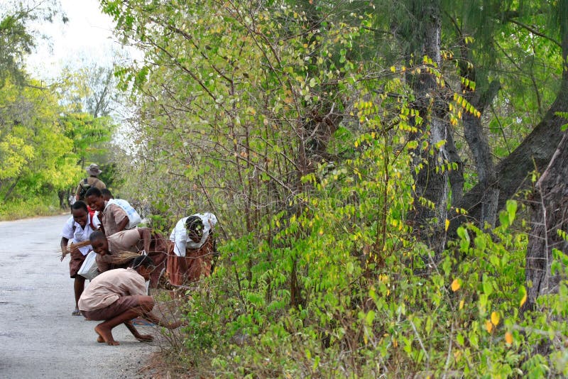 Kenyan life editorial image. Image of holiday, students - 88648665