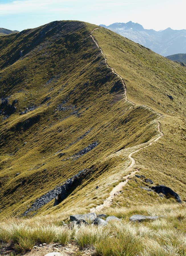 Kepler track stock photo. Image of zealand, yellow, cloud - 22850990