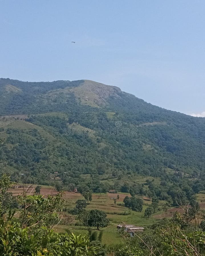 Kerala Attappadi Hills View Stock Photo - Image of view, biew: 251893092