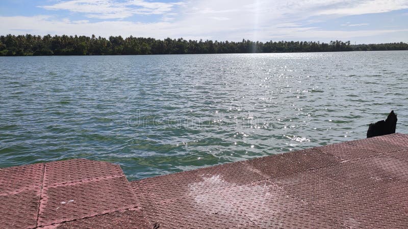 Kerala back water stock photo. Image of reservoir, pond - 196241844