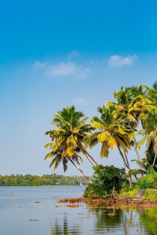 Kerala Backwaters, India. Boats on the Canals Stock Image - Image of ...