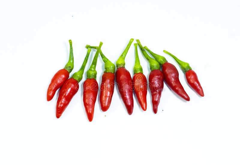 Tabasco Chilli stock image. Image of asian, concepts - 179054785