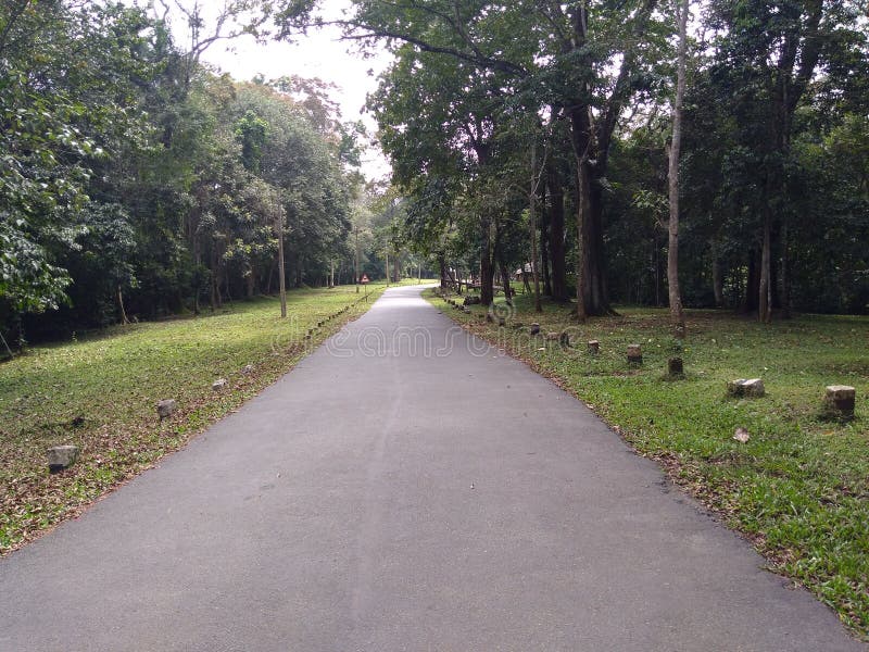 Kerala Park Road Surrounded by Beautiful Trees Grass Stock Image ...