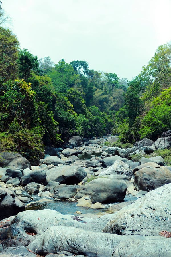 Kerala Rever stock image. Image of stream, tree, rever - 191536481